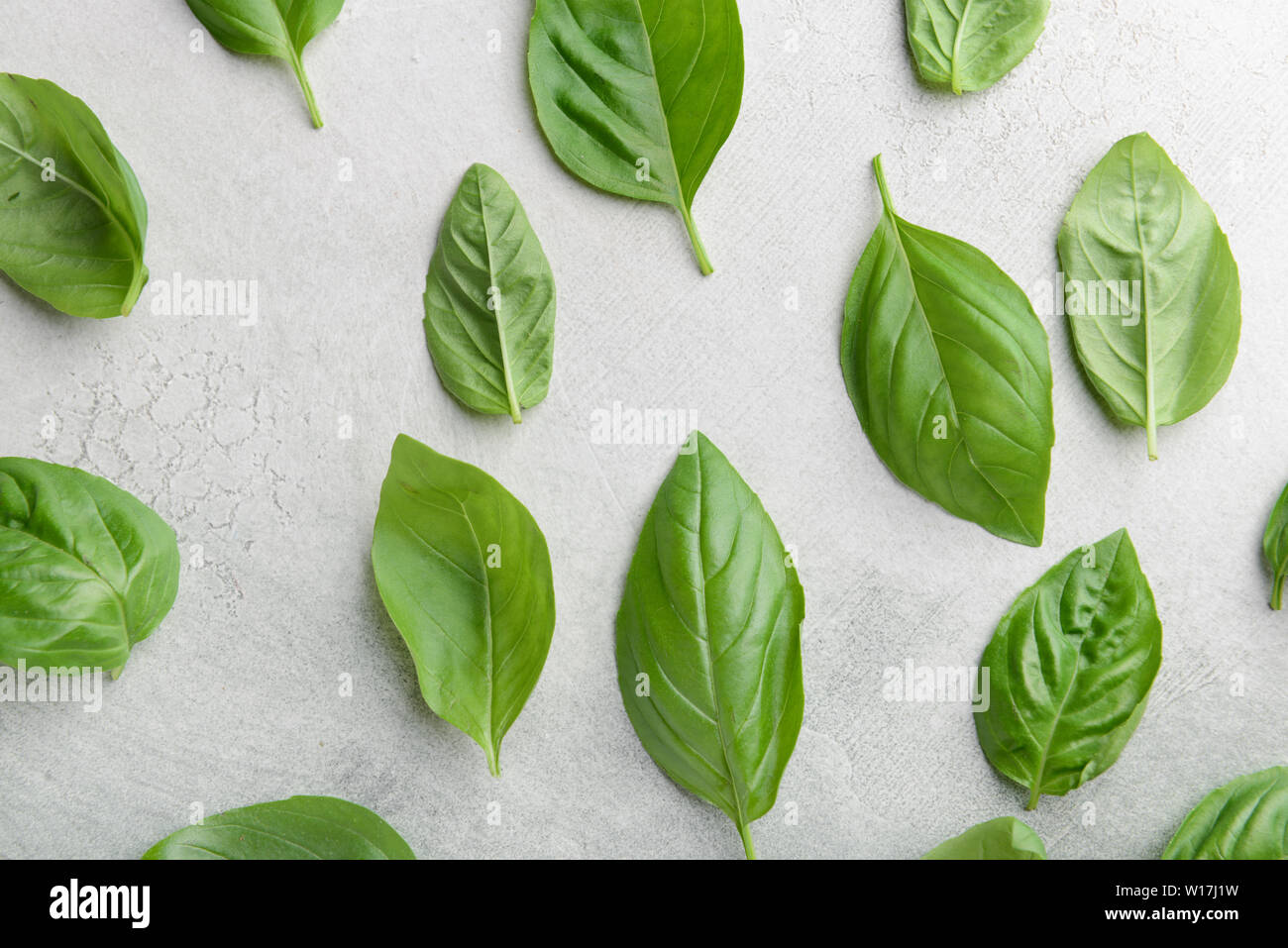 Scattered basil leaves on hi-res stock photography and images - Alamy