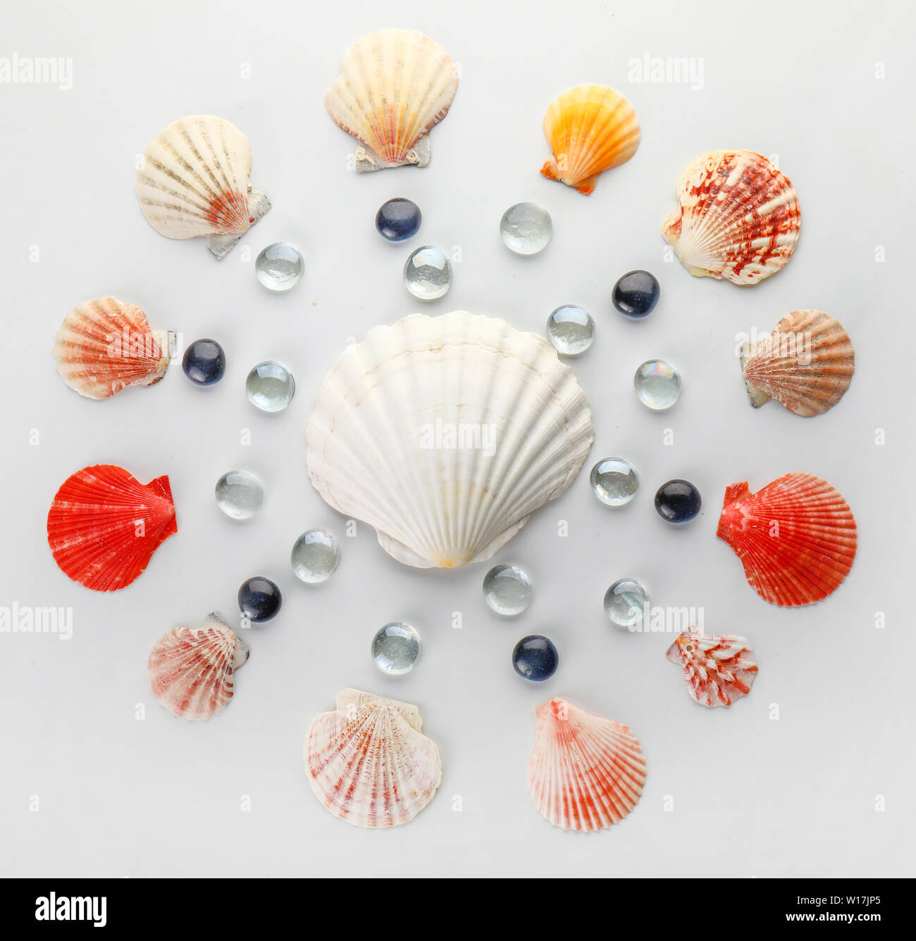 Beautiful sea shells hi-res stock photography and images - Alamy
