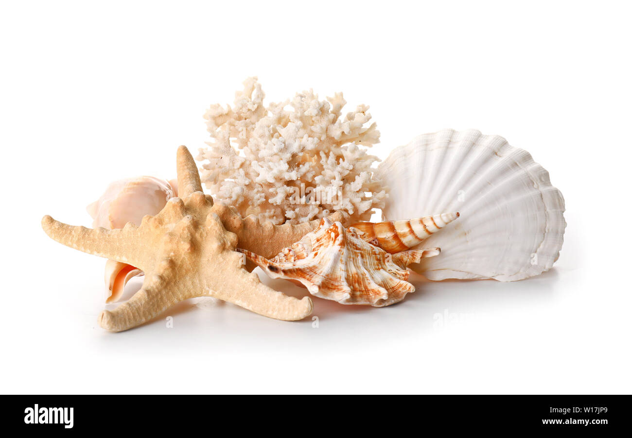 Coral sea species Cut Out Stock Images & Pictures - Alamy