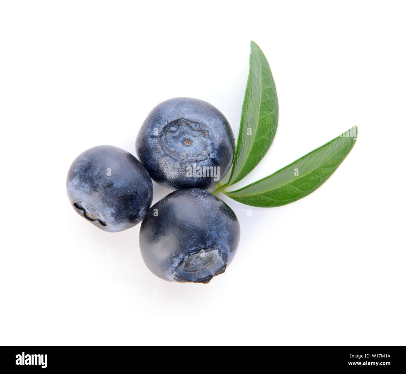Fresh ripe blueberry on white background Stock Photo - Alamy
