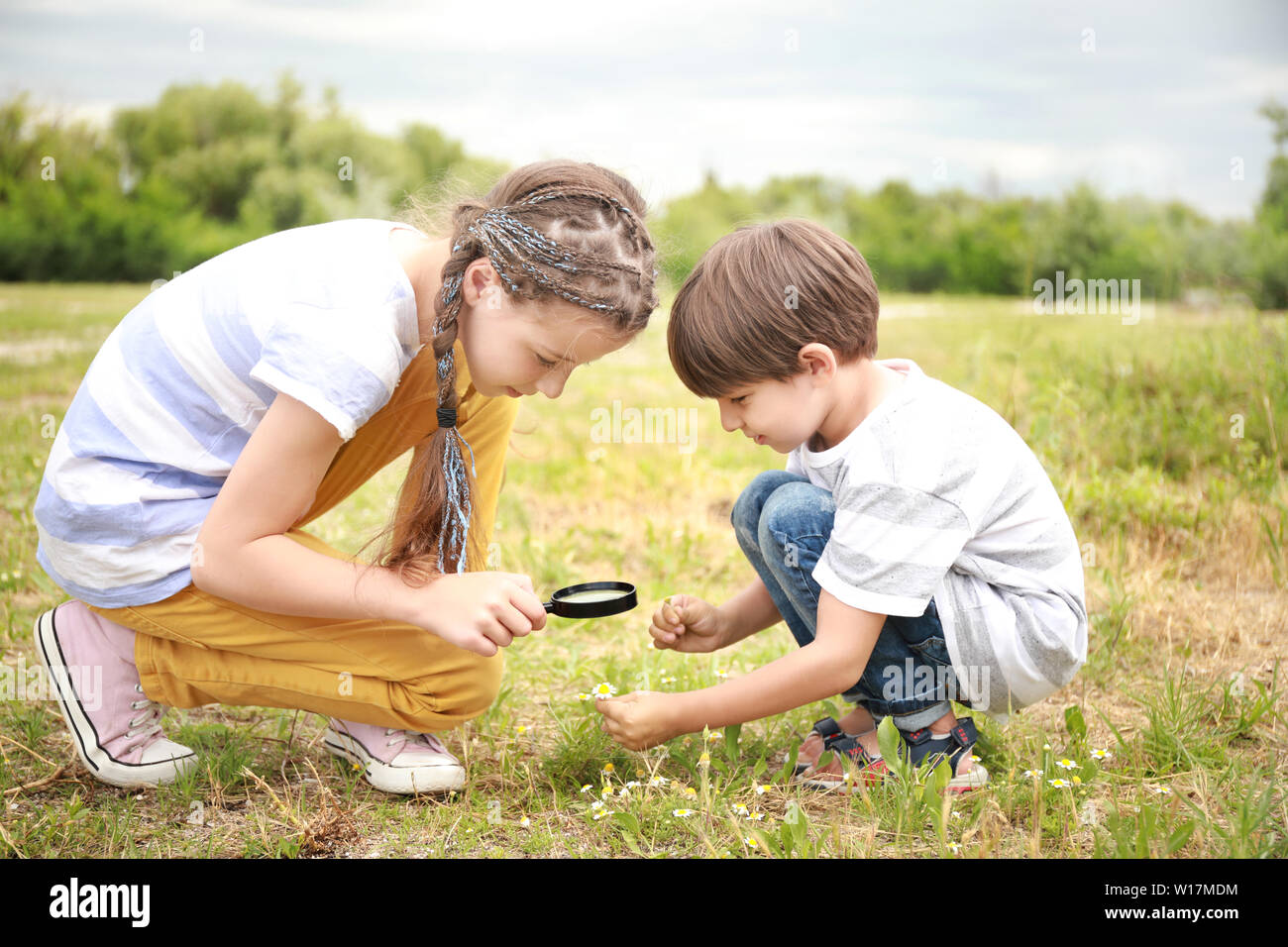 Little children with magnifying glass studying nature outdoors Stock ...
