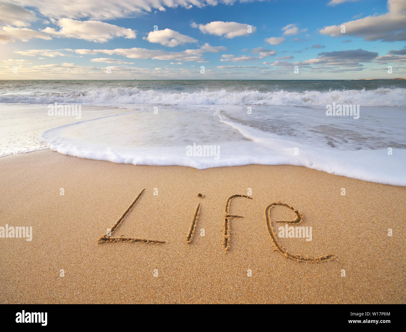 Life word on the sea sand. Conceptual nature design Stock Photo - Alamy