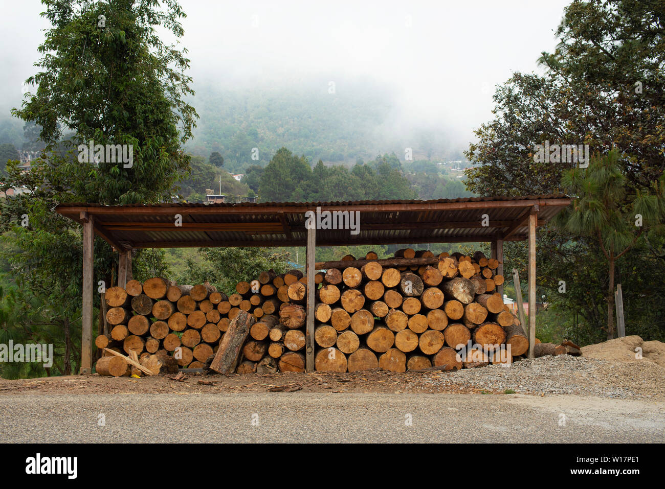 People storing a stack of wood logs alongside the road of the mountain ...