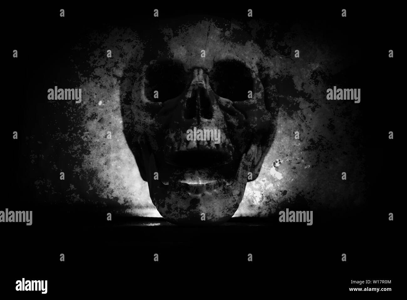 Human Skull head on blur dark black background - Old scary grunge skull ...