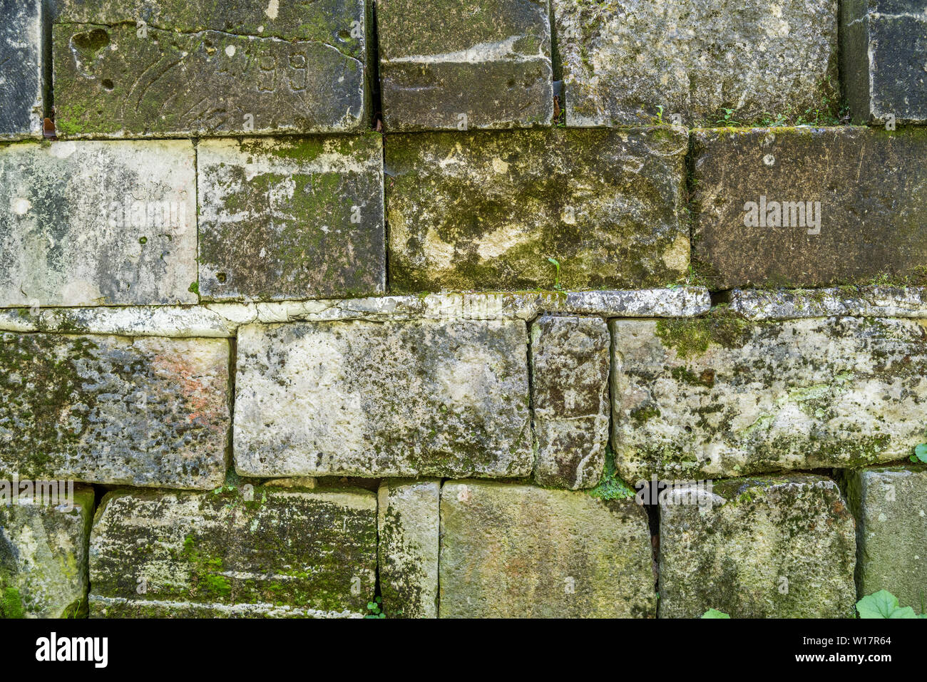Brick. Details. Construction. Historical dating. Muscles raised here ...