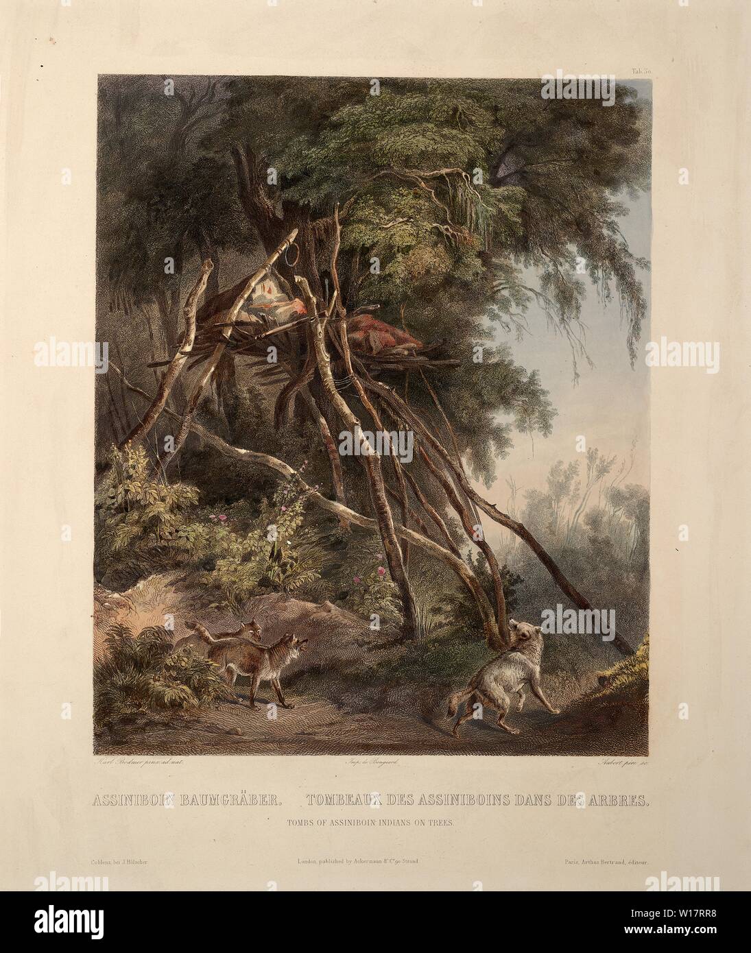 The assiniboin indians hi-res stock photography and images - Alamy