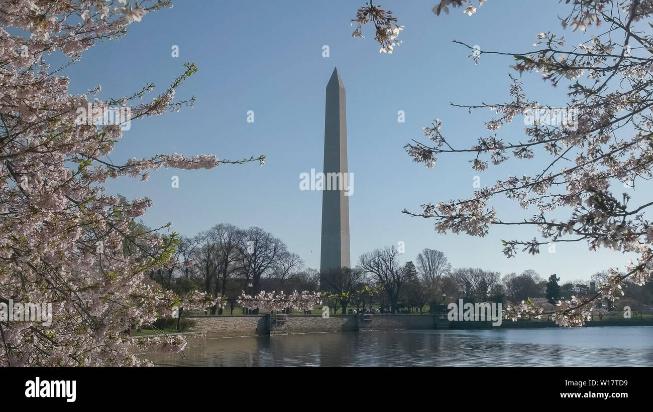 View cherry blossoms hi-res stock photography and images - Alamy