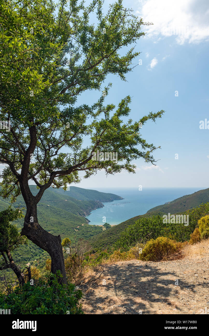 Beautiful panoramic view on the bay. Picturesque natural landscape ...