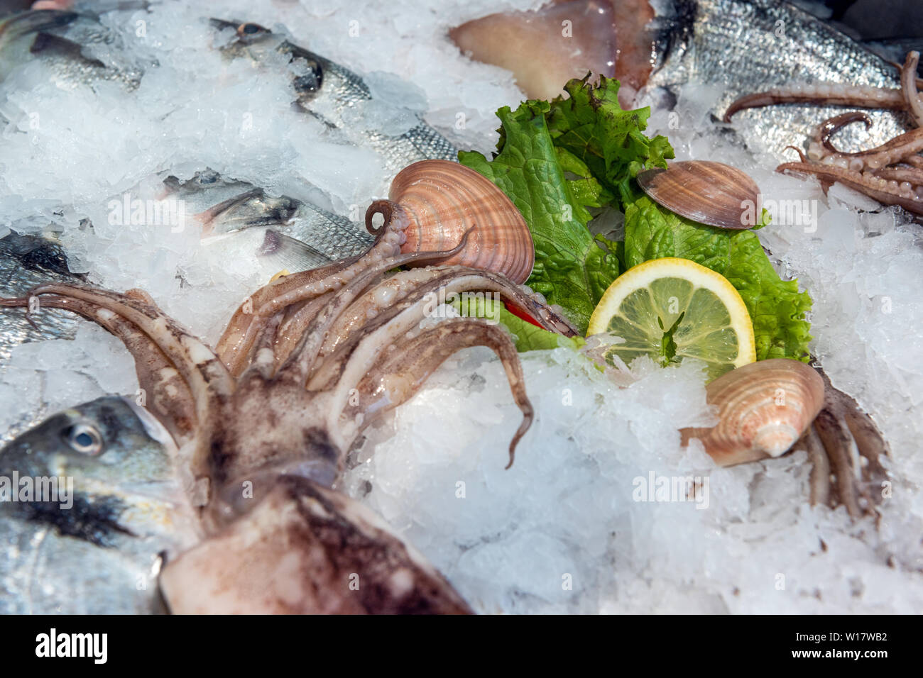 Frozen fish on market hi-res stock photography and images - Alamy