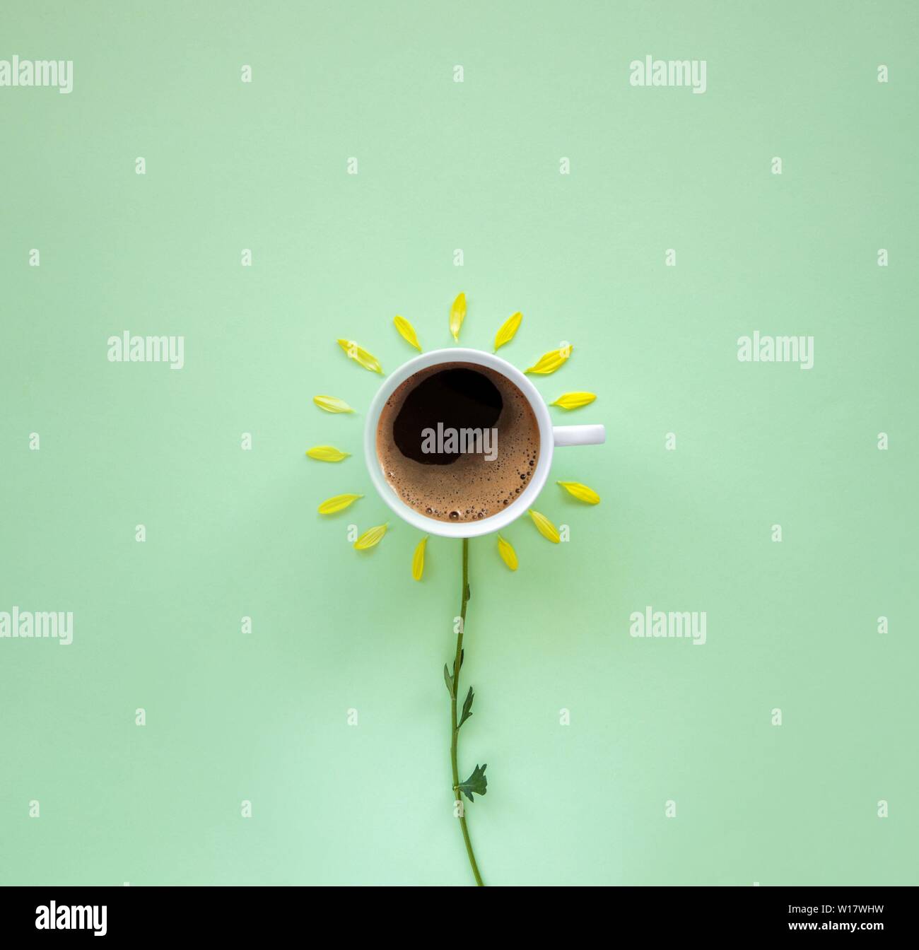 fresh coffee with flower in the morning concept Stock Photo - Alamy