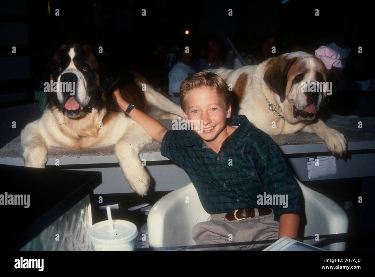 Las Vegas, Nevada, USA 24th July 1994 Actor Christopher Castile and ...