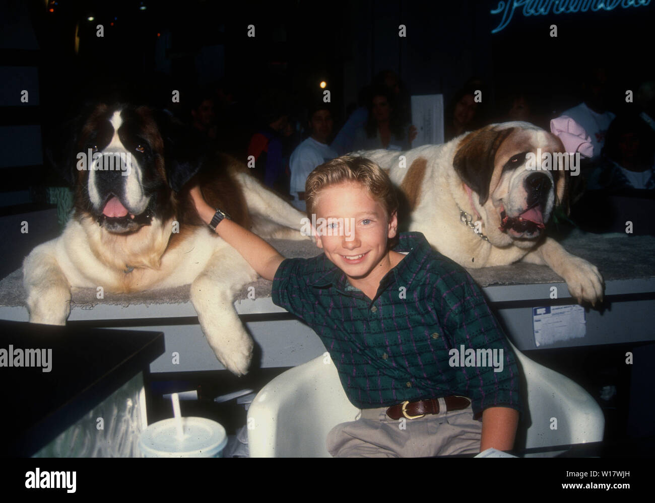 Las Vegas, Nevada, USA 24th July 1994 Actor Christopher Castile and ...