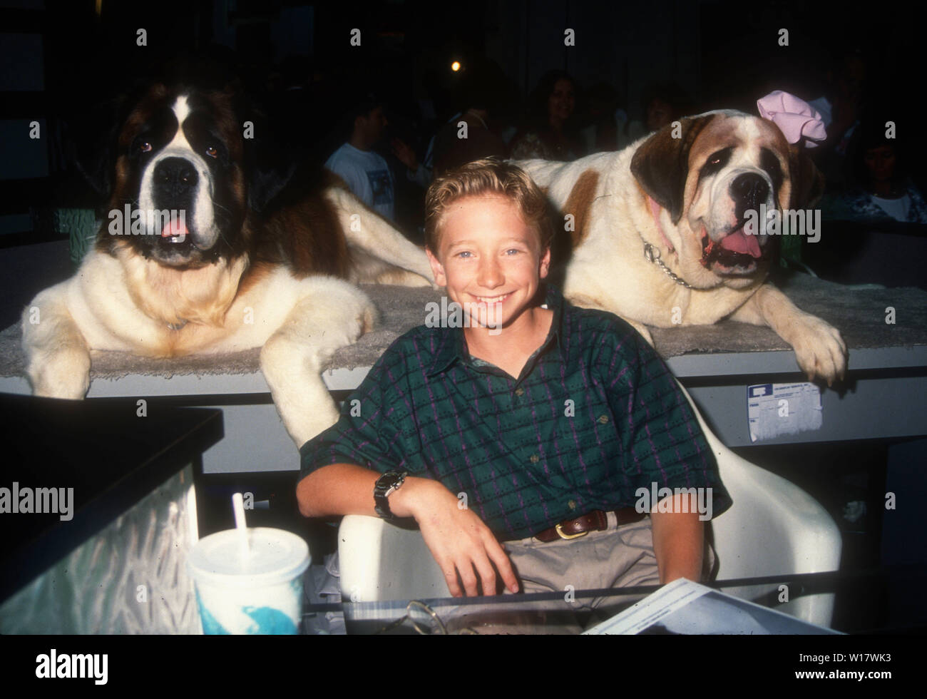Las Vegas, Nevada, USA 24th July 1994 Actor Christopher Castile and ...