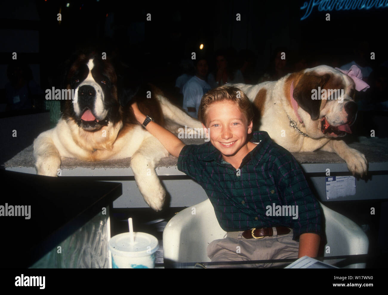 Las Vegas, Nevada, USA 24th July 1994 Actor Christopher Castile and ...