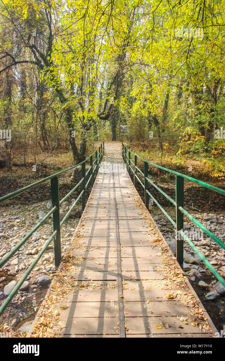 Foot Path India High Resolution Stock Photography and Images - Alamy
