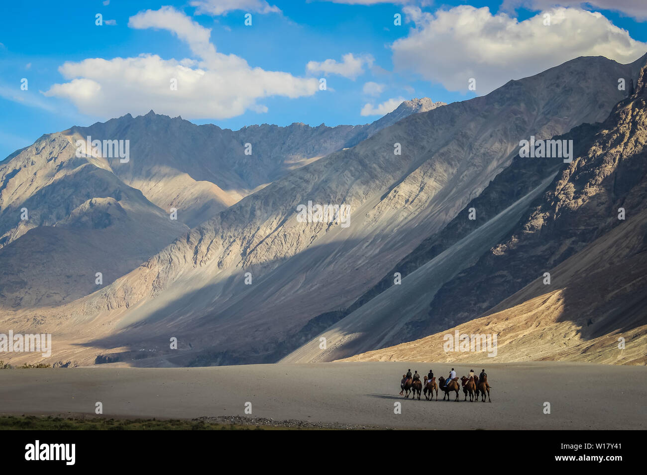 Temperate Desert Wallpaper