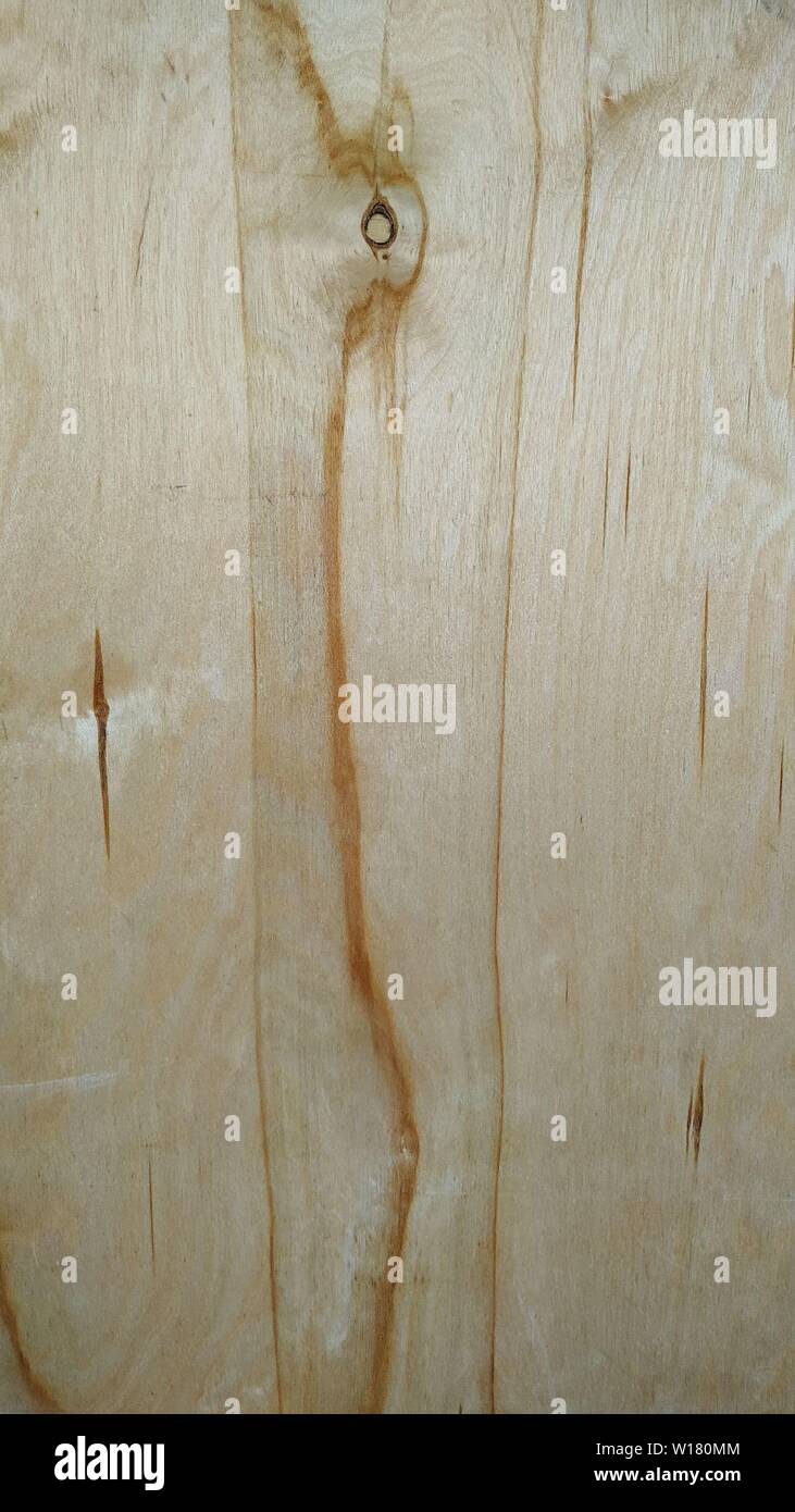 Natural light wood, drawing on a cut. Background, texture Stock Photo ...