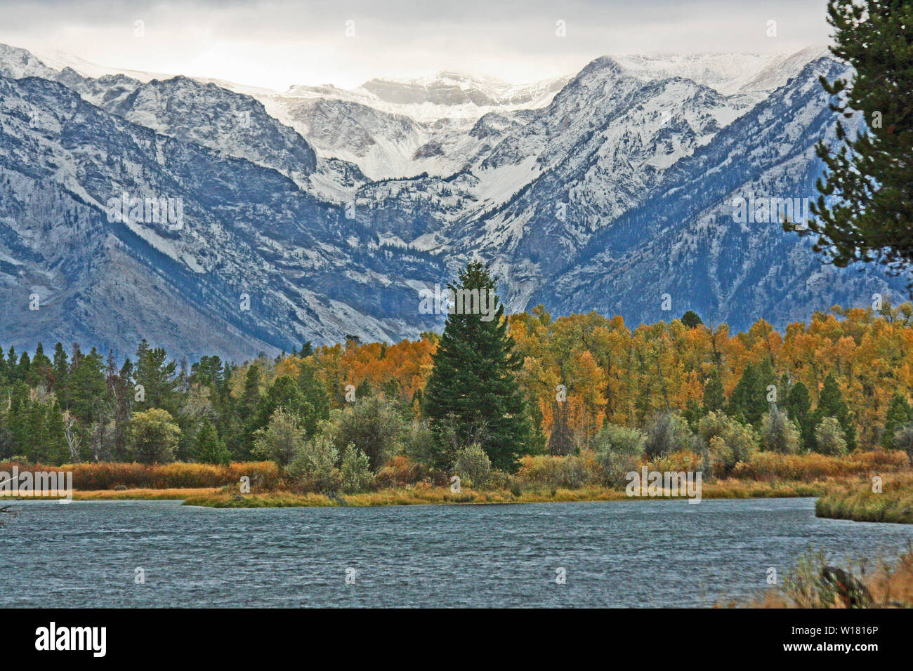 Grand spruce hi-res stock photography and images - Alamy