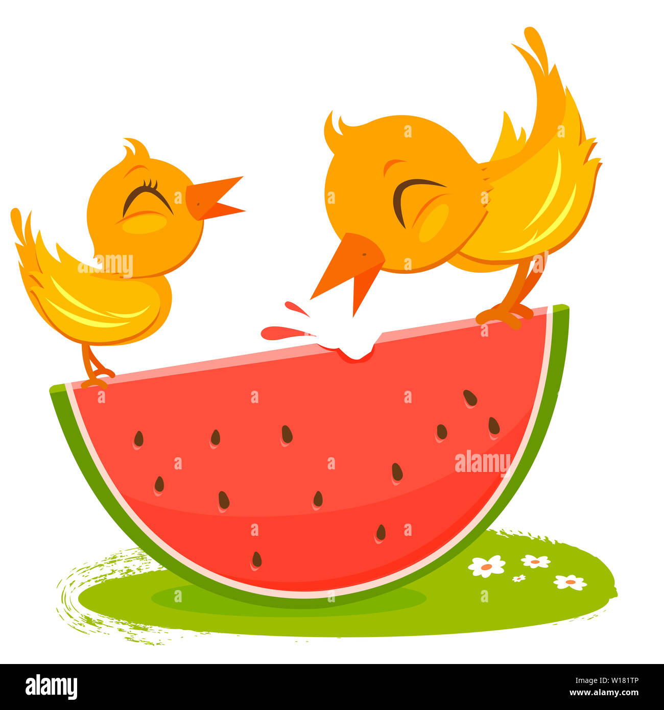 Cute little yellow birds in summer eat and share a watermelon fruit ...