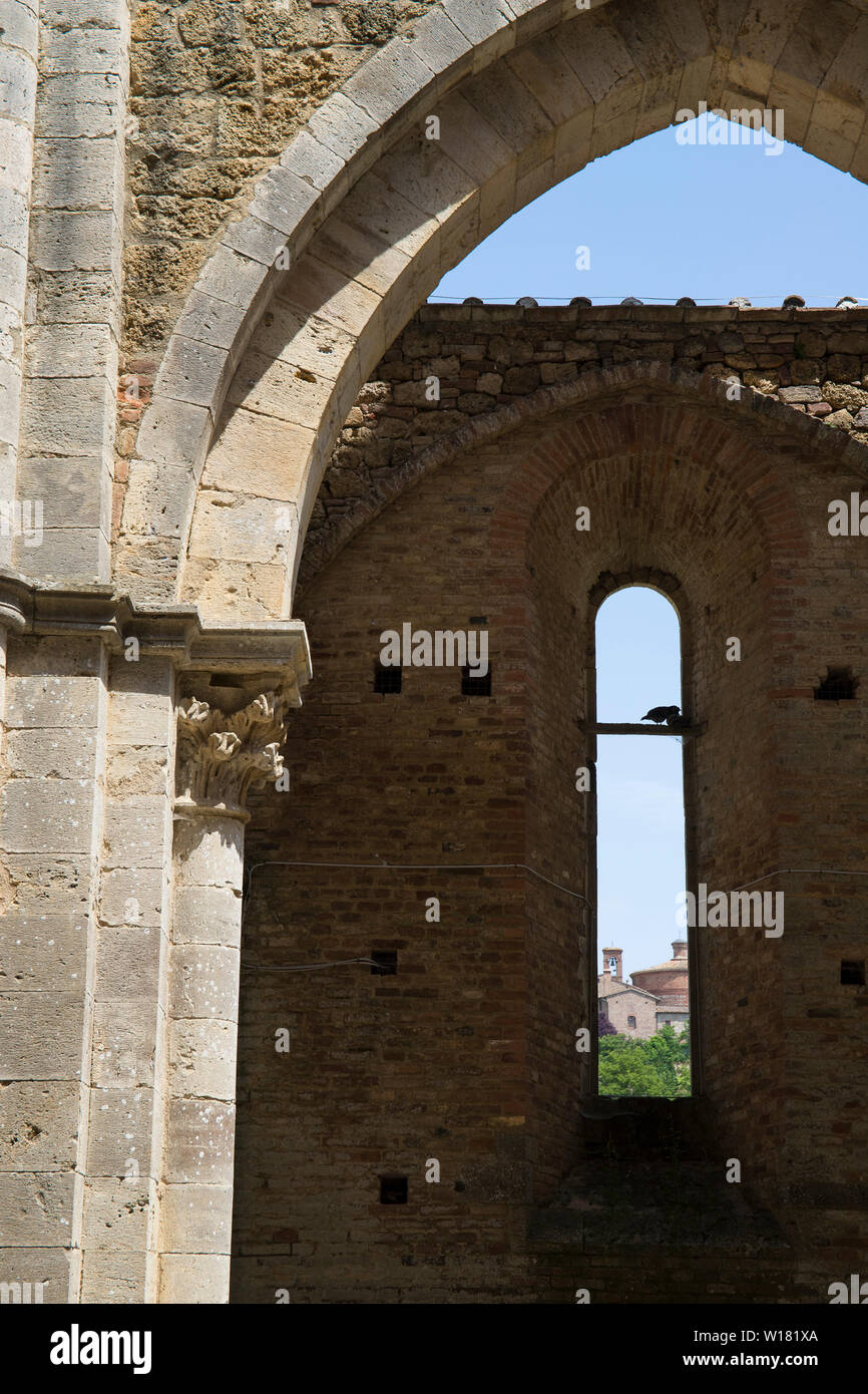 Detail of an arch in San Galgano abbey with a window view of the ...