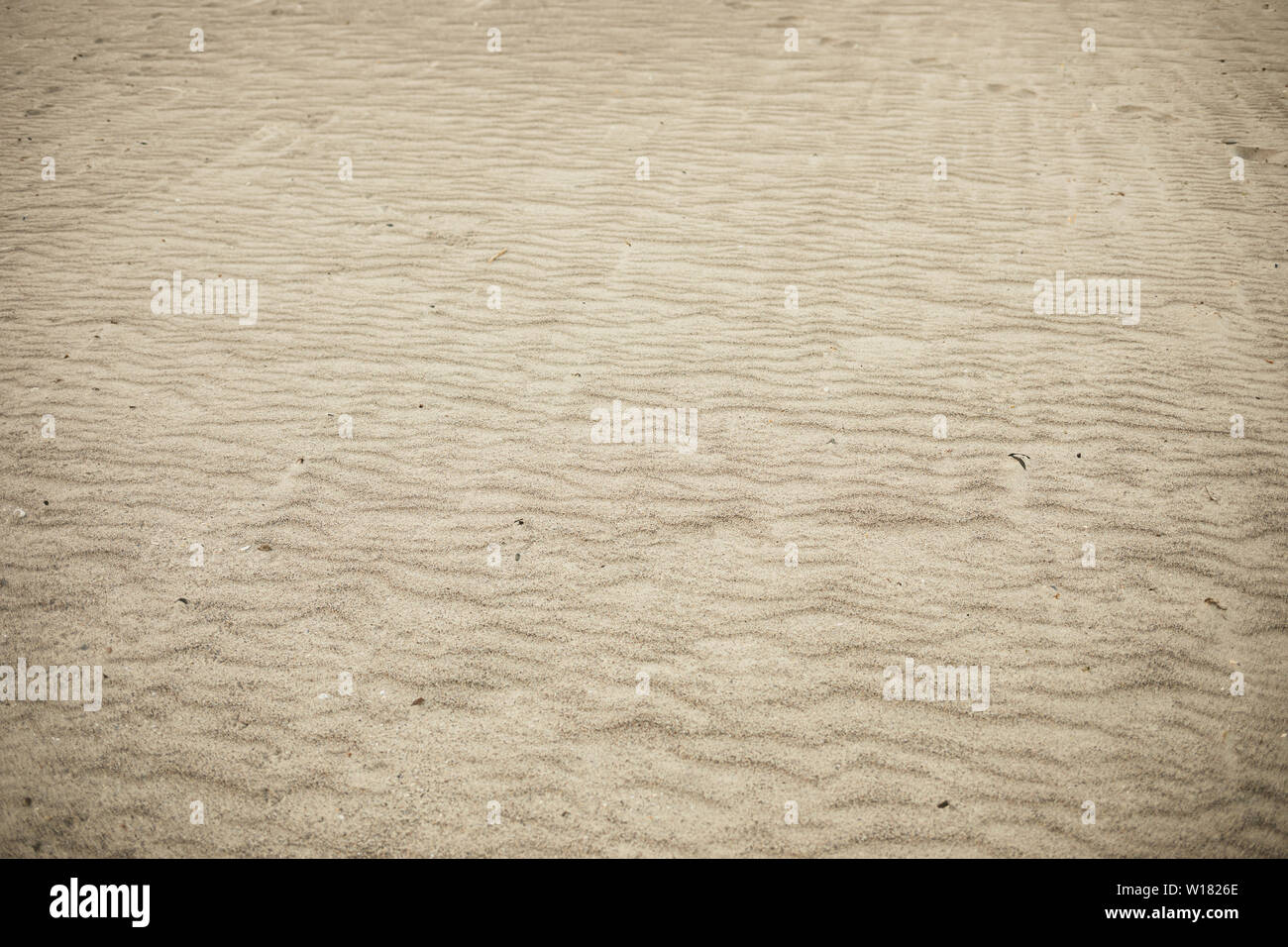 Wavy yellow clean beach sand on a deserted shore, natural background ...