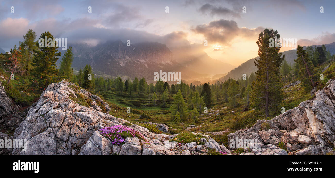 Nature alps hi-res stock photography and images - Alamy