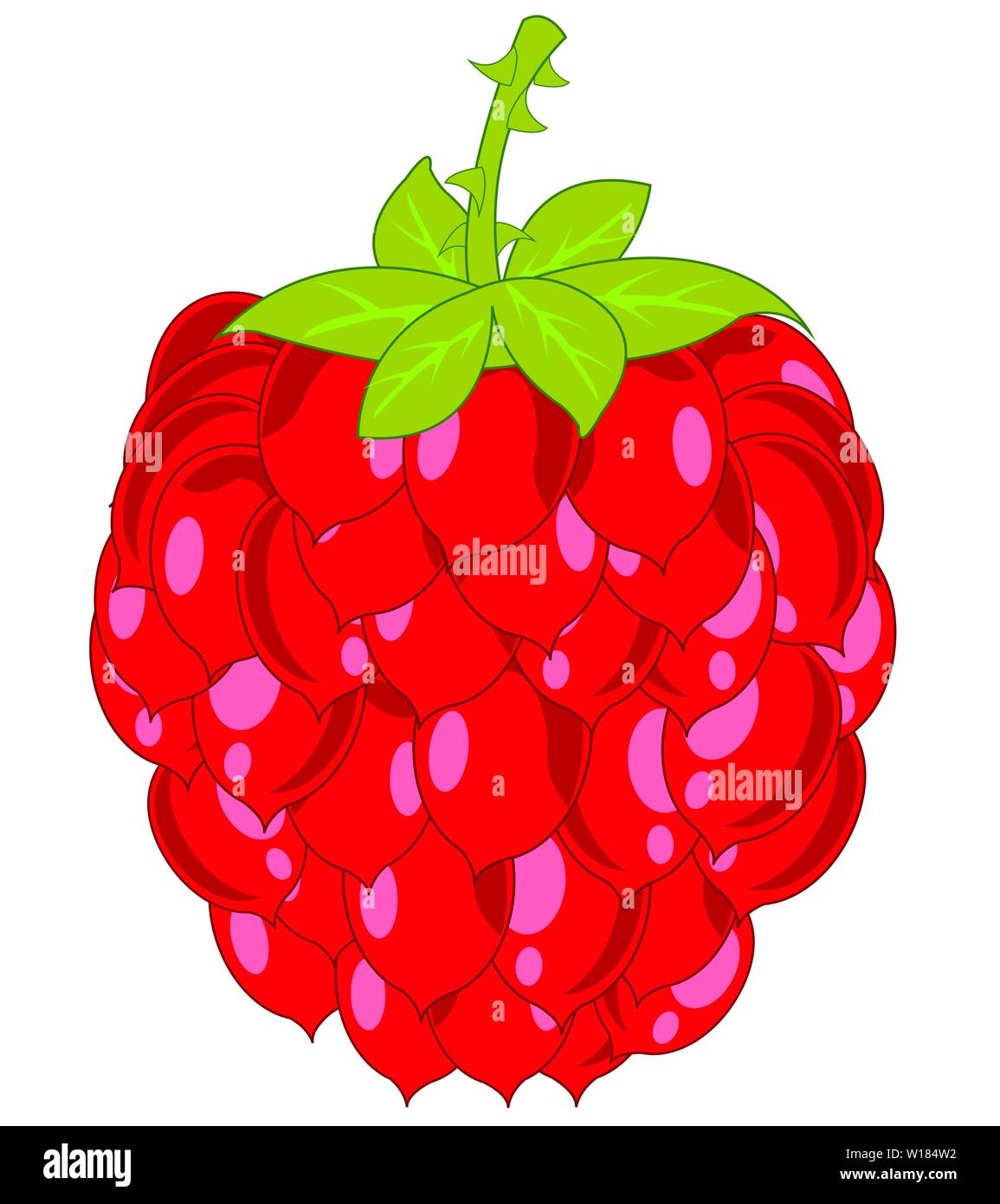 Vector illustration of the cartoon of the ripe berry raspberry Stock ...