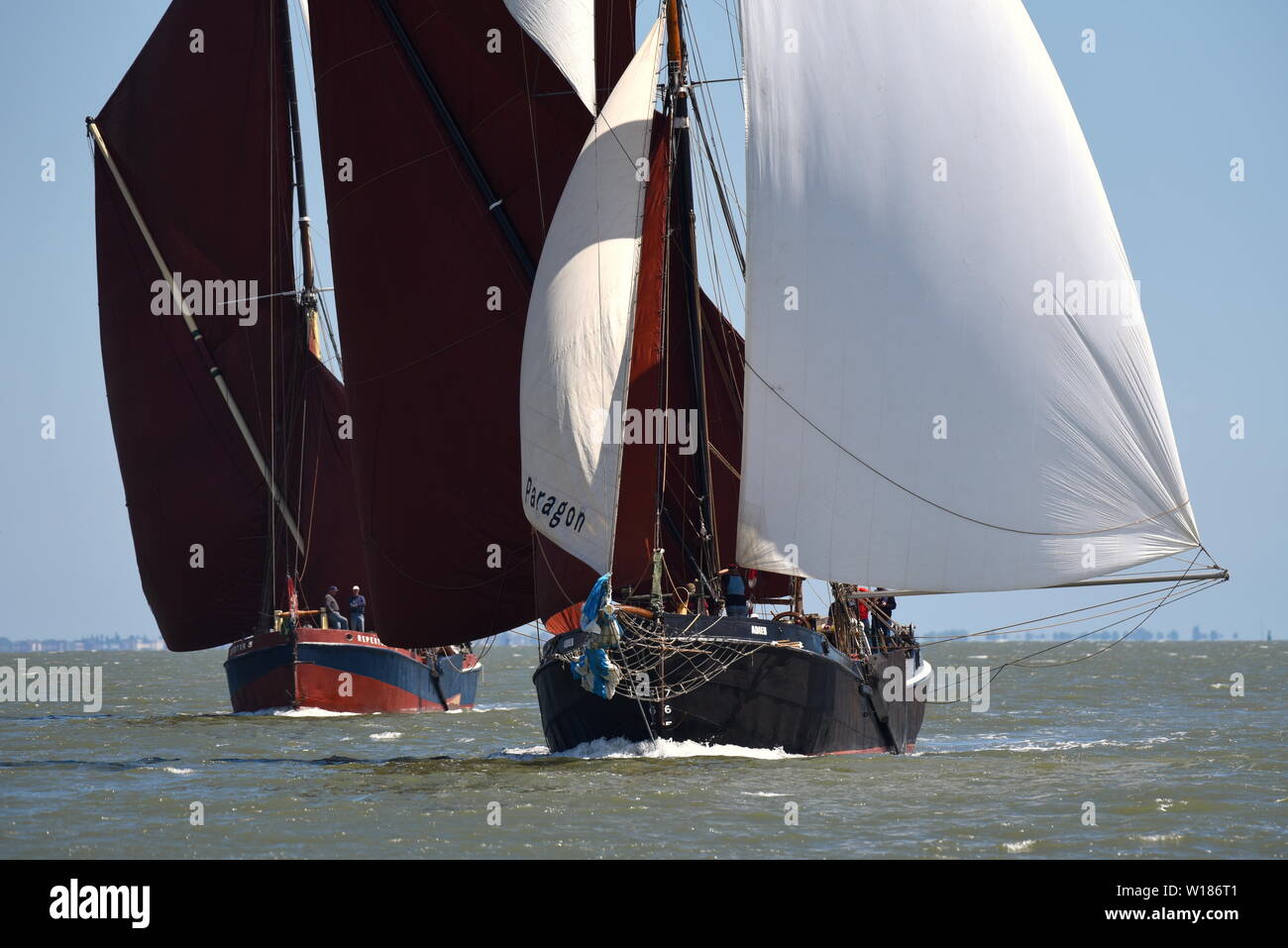 With Staysails billowing Repertor races with Adieu towards the ...