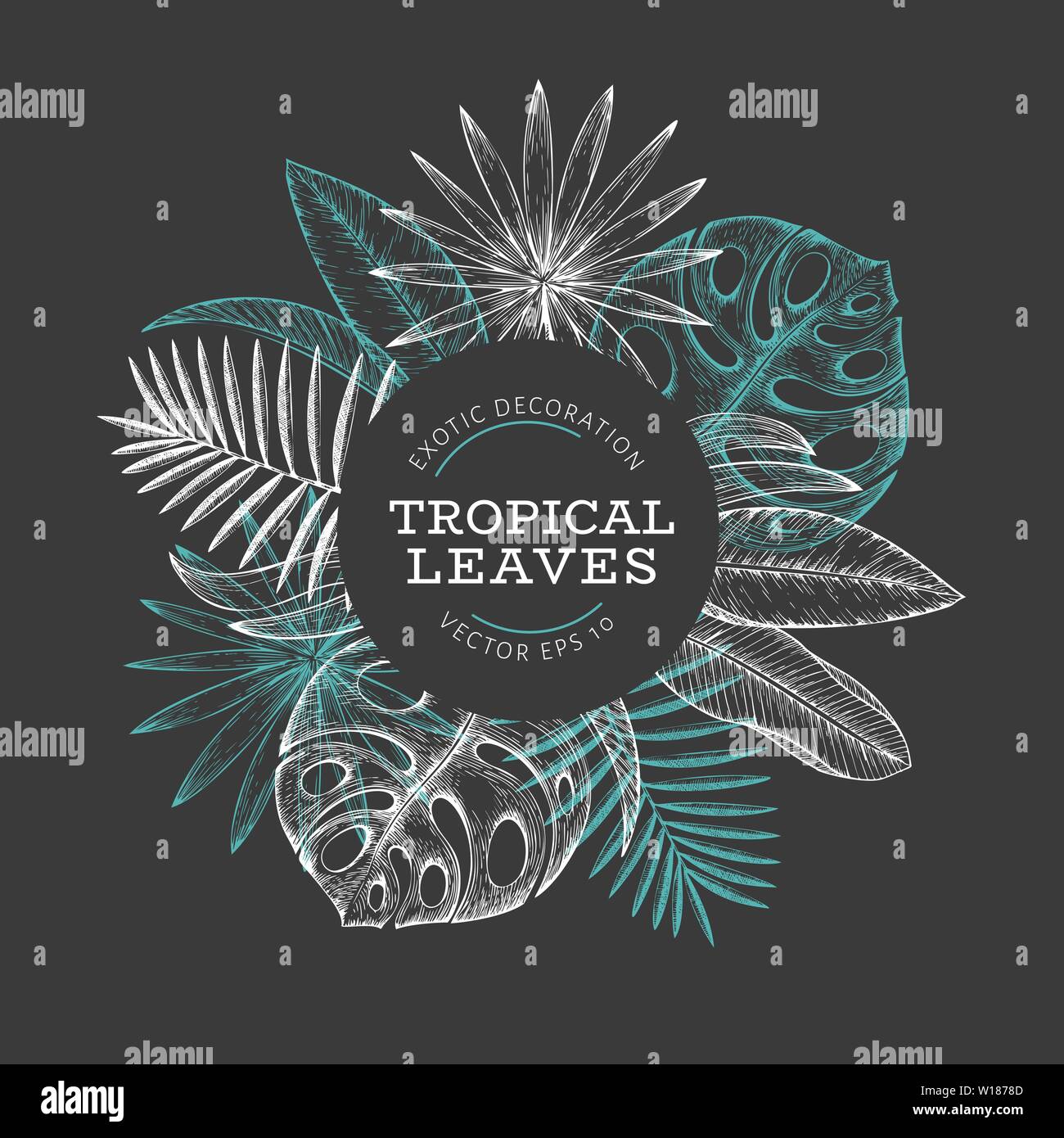Tropical plants banner design. Hand drawn tropical summer exotic leaves ...
