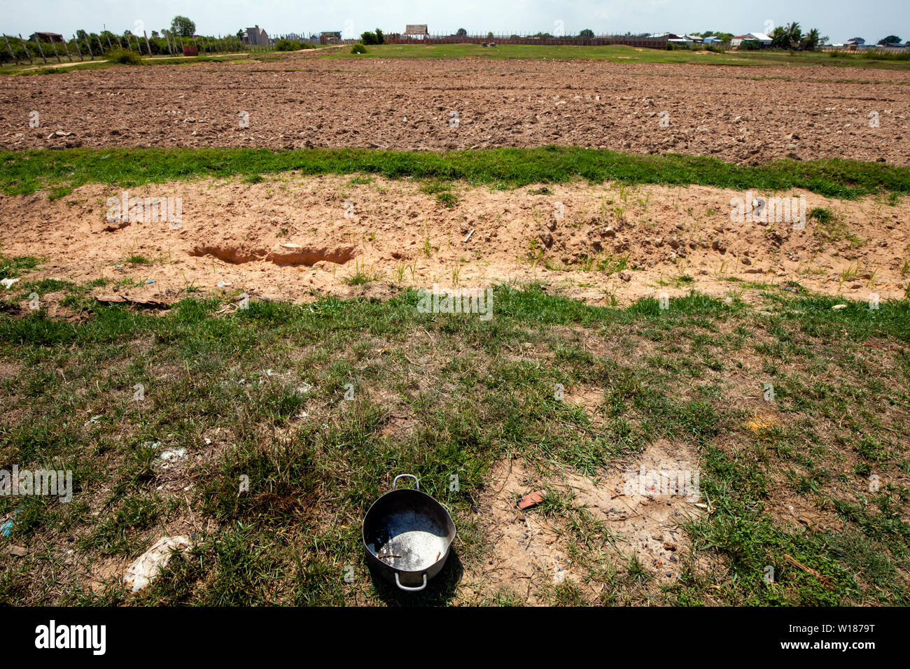 Cambodian rice farm hi-res stock photography and images - Alamy