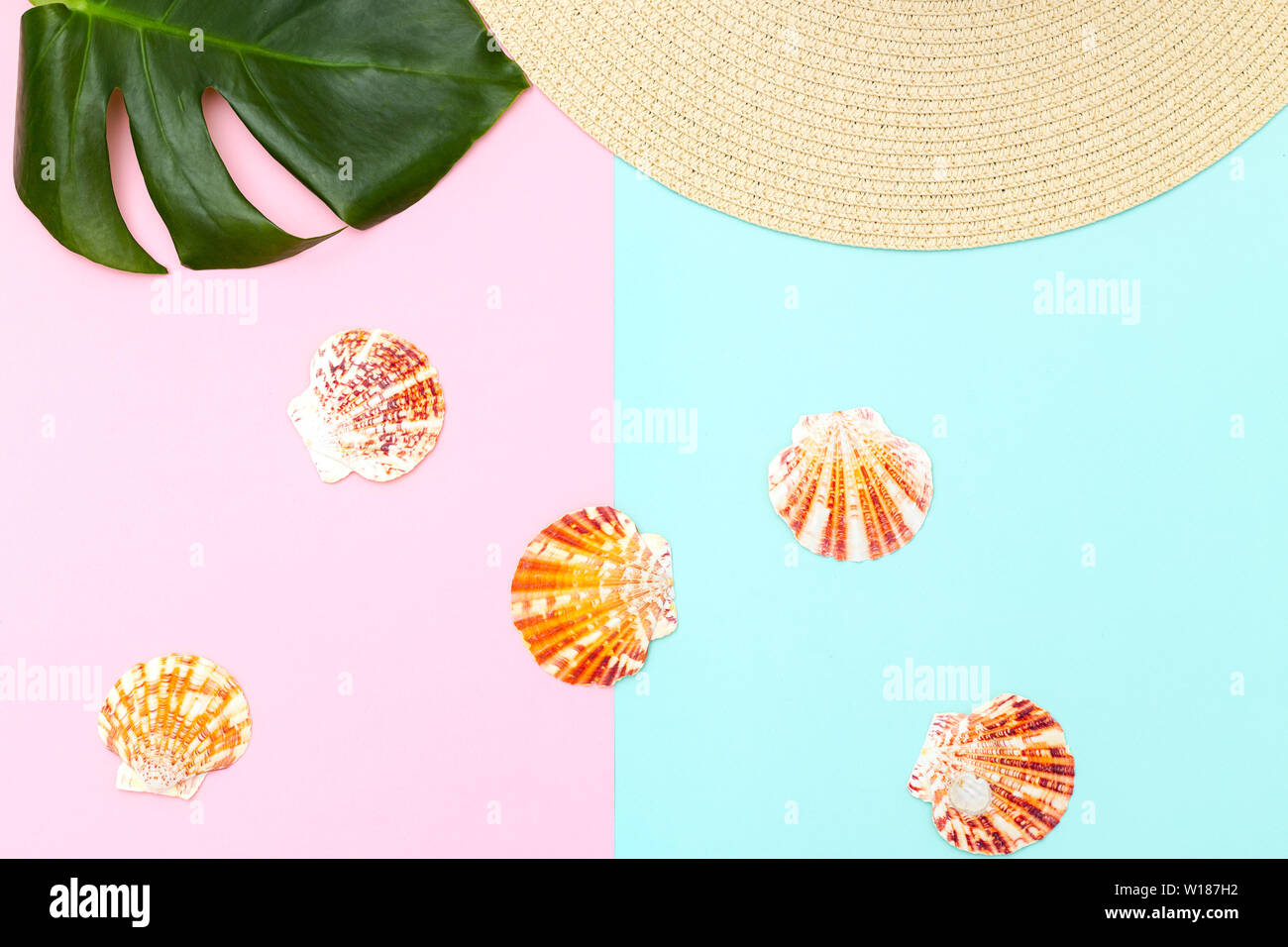 Summer background. Tropical leaves green and seashells Stock Photo - Alamy