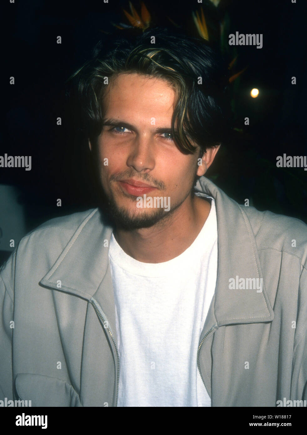 Las Vegas, Nevada, USA 25th July 1994 Actor Ashley Hamilton attends the ...