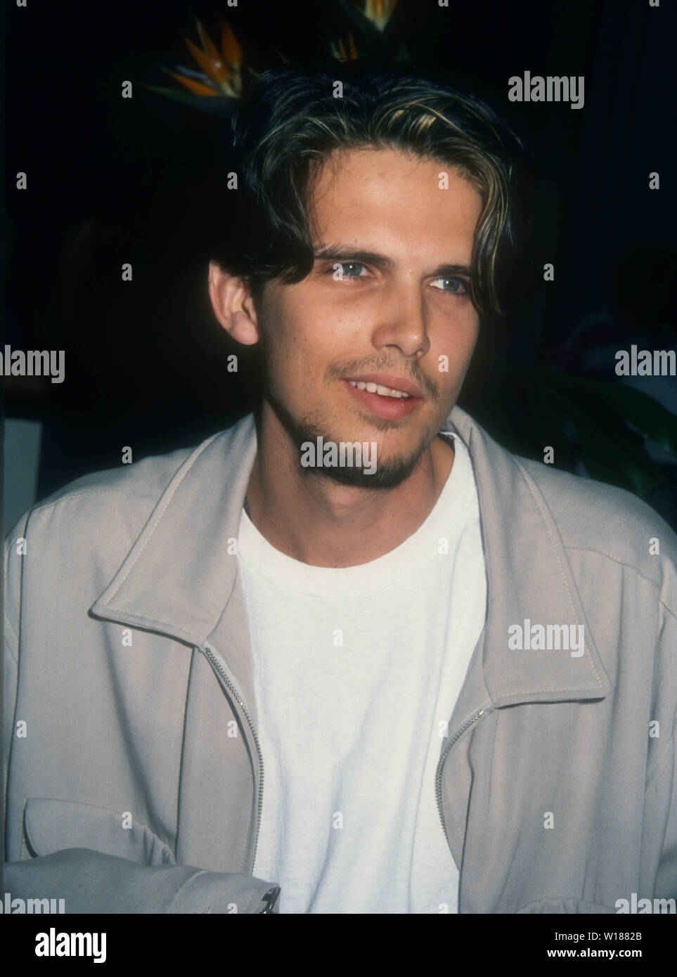 Las Vegas, Nevada, USA 25th July 1994 Actor Ashley Hamilton attends the ...