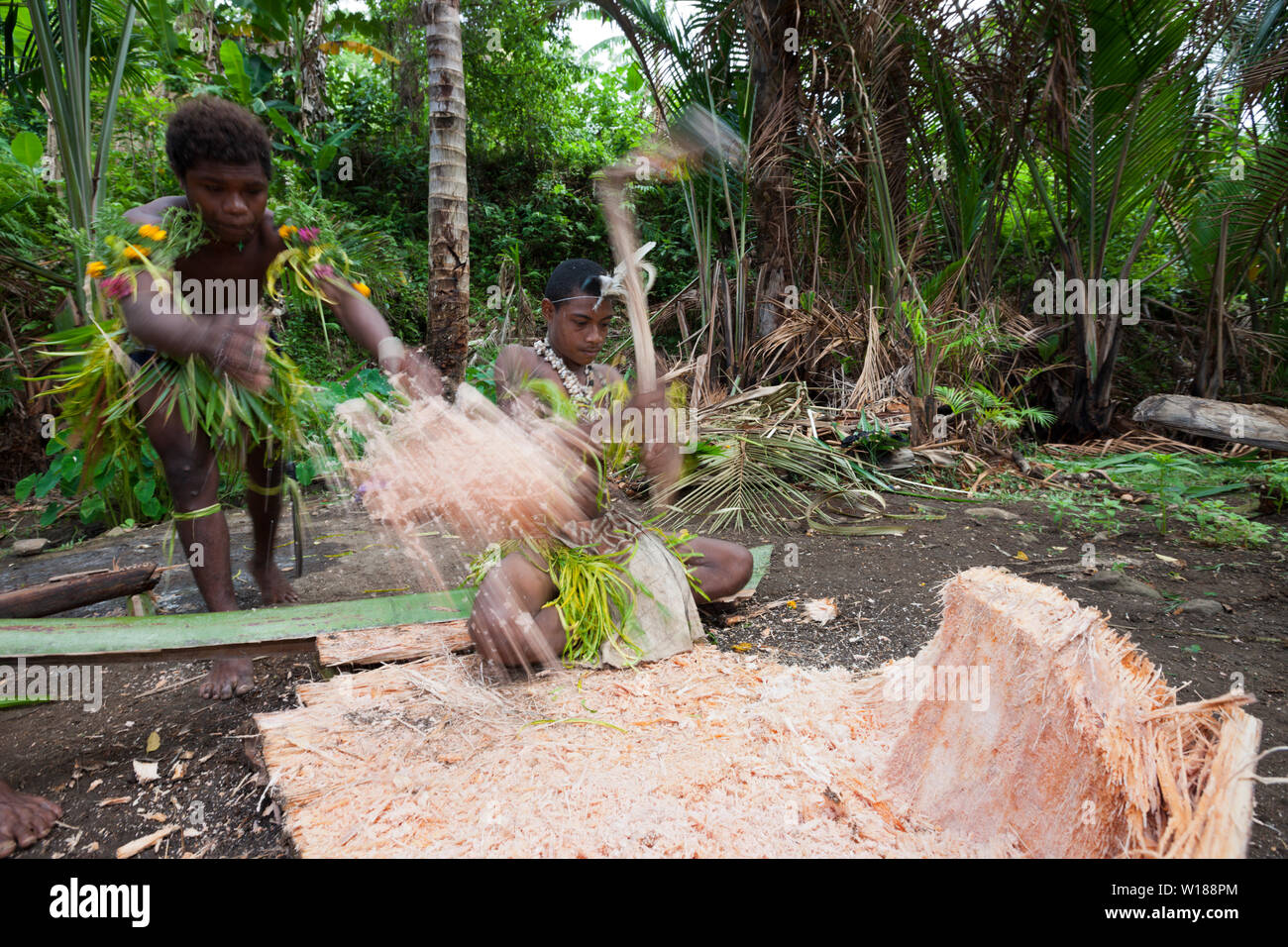 Sago papua new guinea hi-res stock photography and images - Alamy