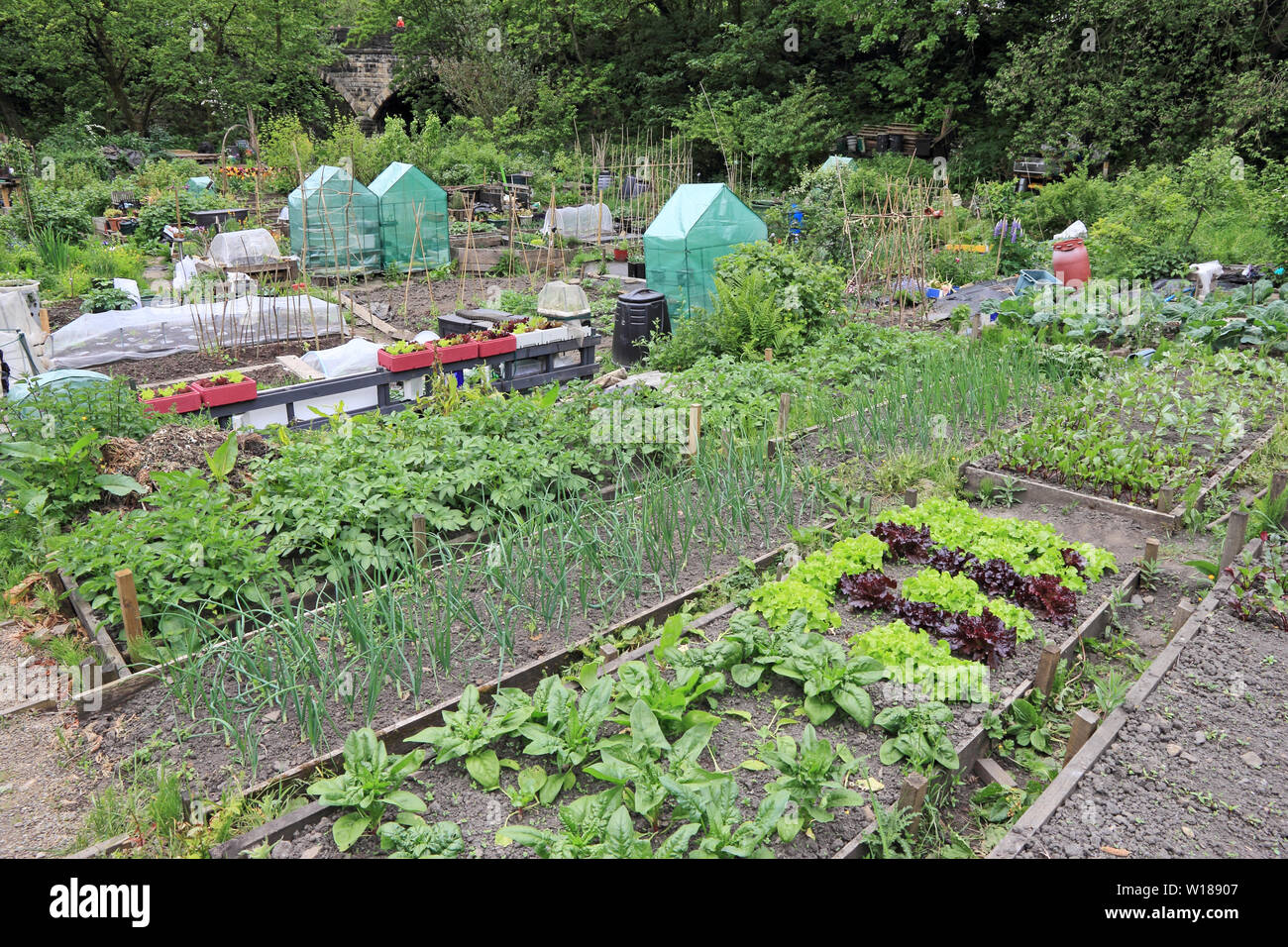 Yorkshire allotments hi-res stock photography and images - Alamy