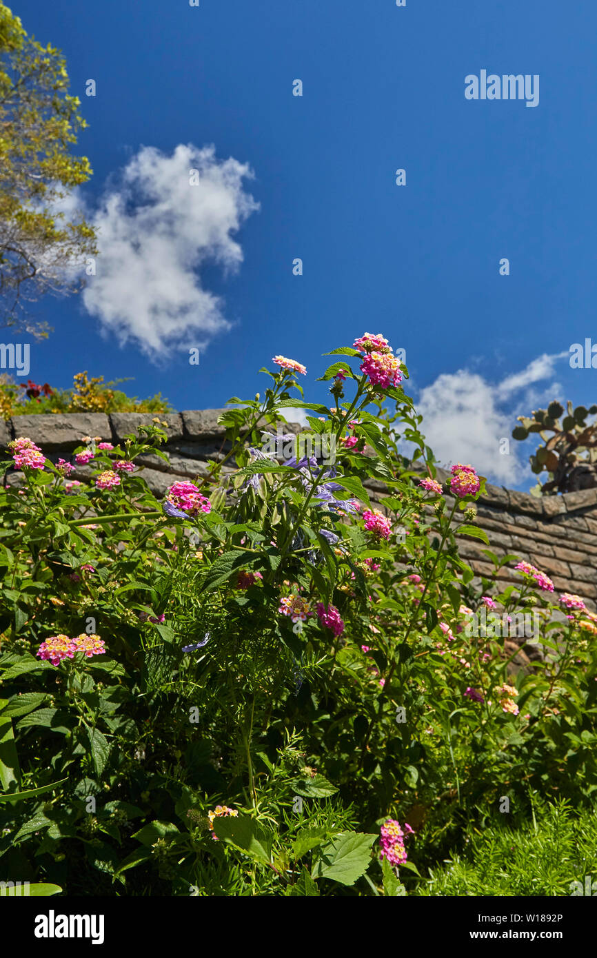 Beautiful regions of portugal hi-res stock photography and images - Alamy