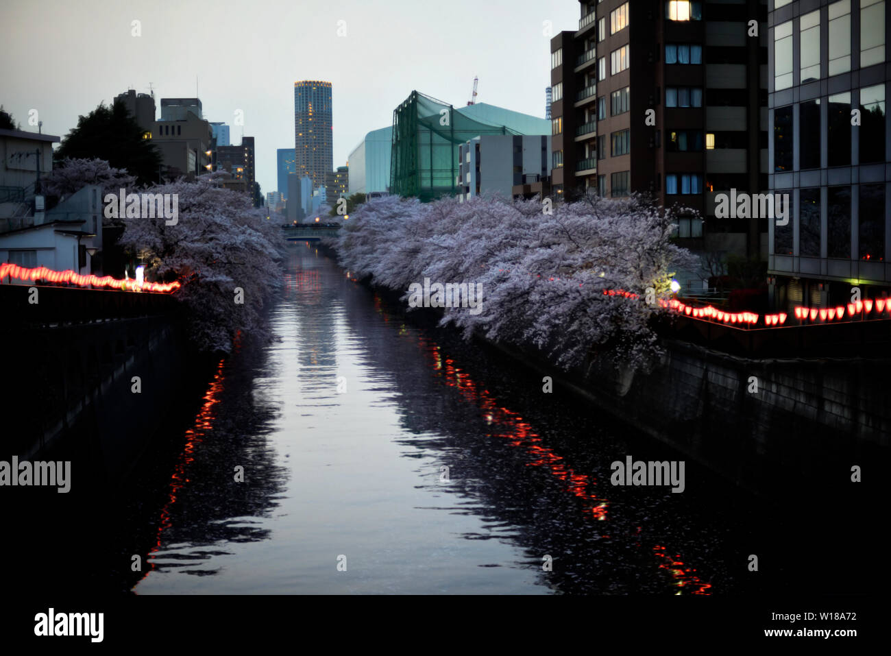 Cherry Blossom Meguro River Tokyo Japan Stock Photo - Alamy