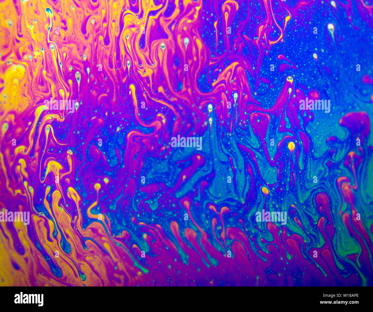 Psychedelic Universe