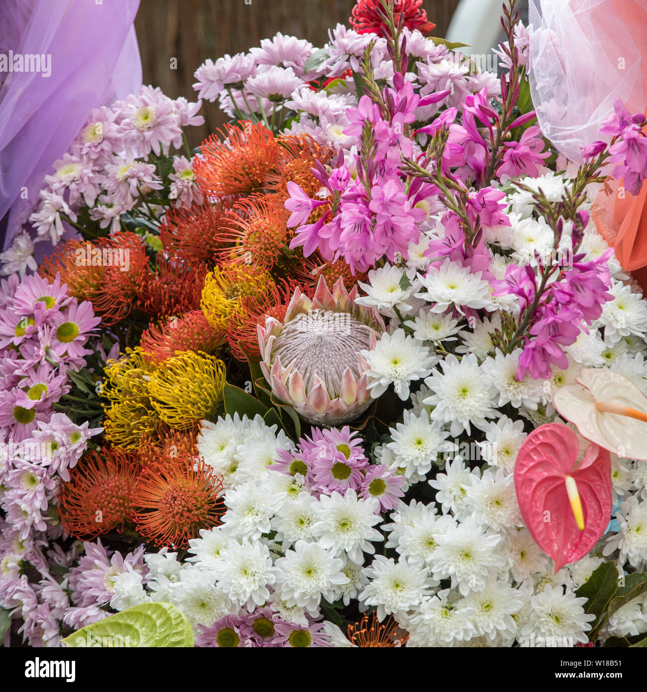 Beauty floristic decoration with colorful tropical flowers Stock Photo ...
