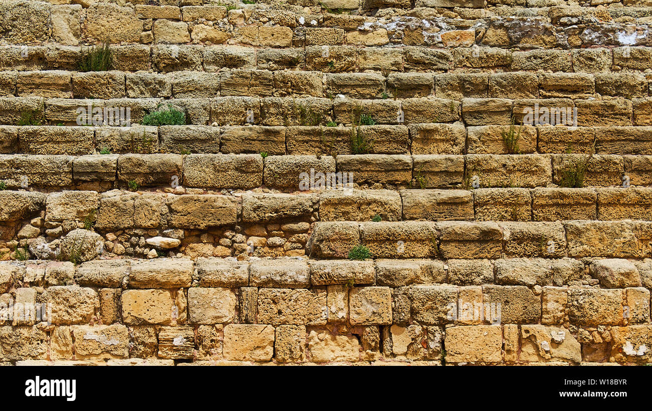 Background of ancient limestone wall with sprouted plants Stock Photo ...
