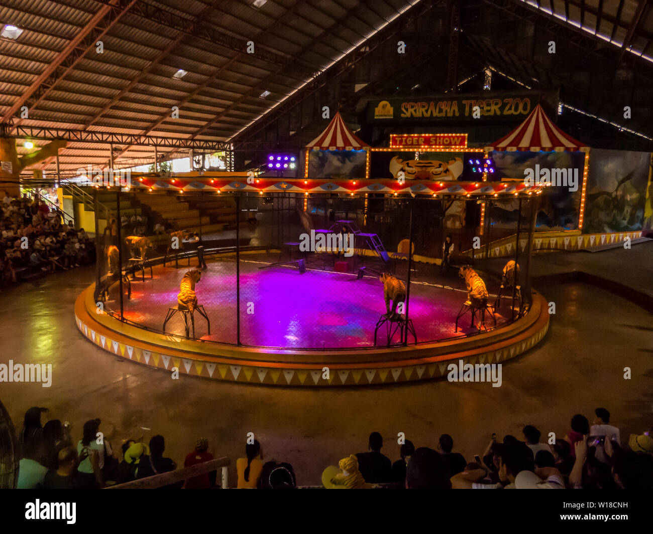 View of the Tiger Show in Sriracha Tiger Zoo, Pattaya, Thailand Stock ...