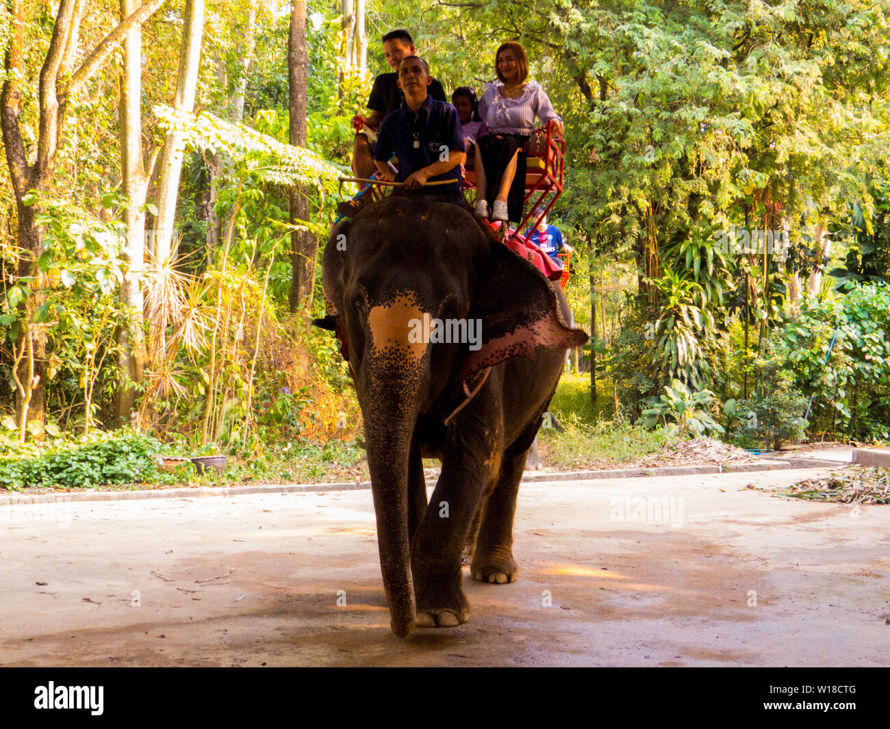 Riding the tiger hi-res stock photography and images - Alamy
