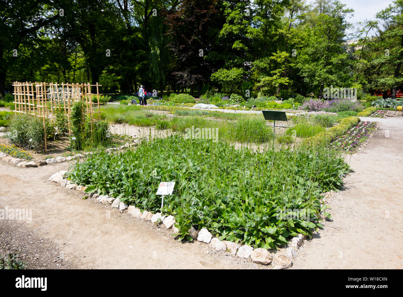Botanicki vrt, Botanical Garden, Zagreb, Croatia Stock Photo - Alamy
