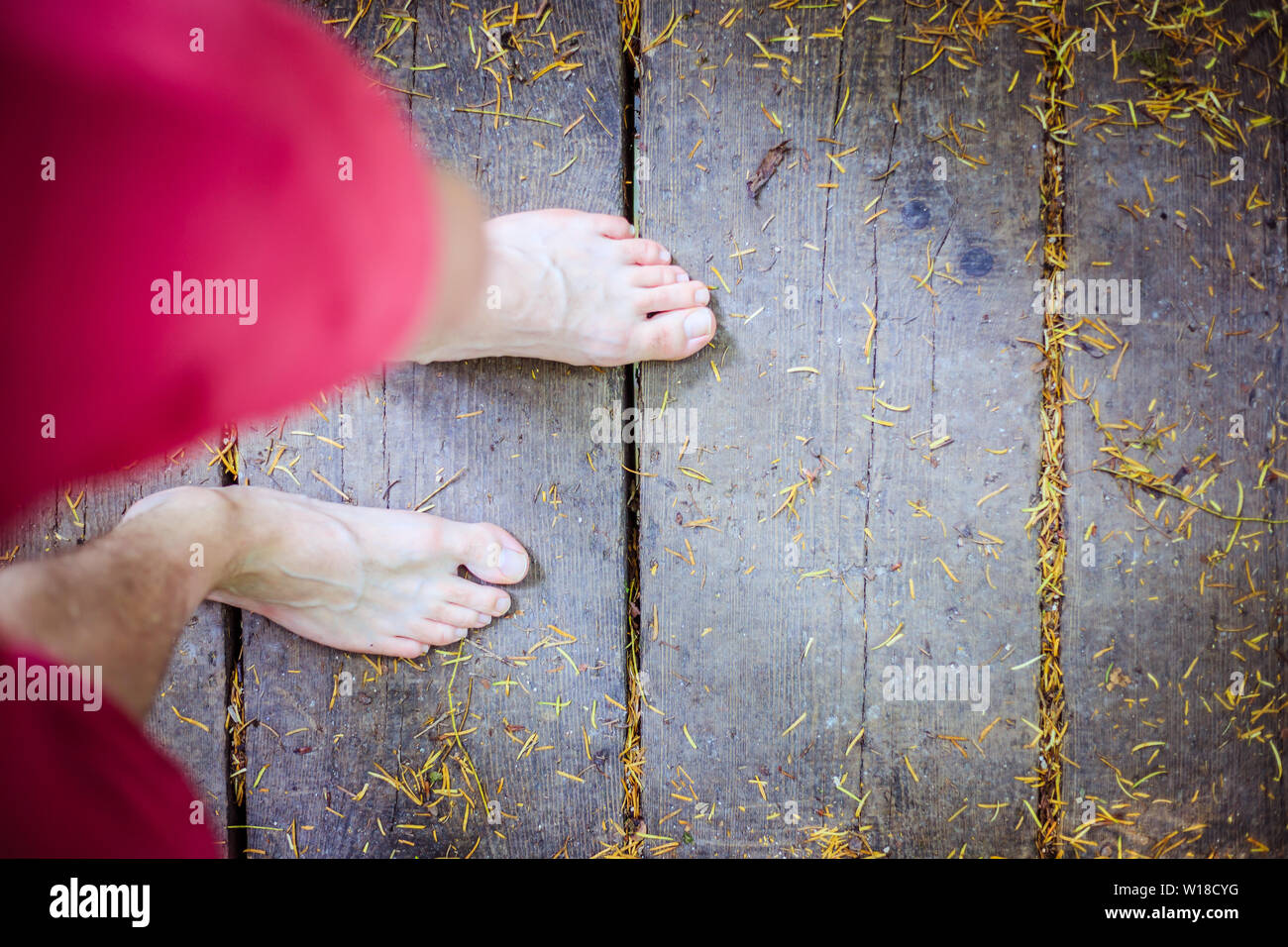 Rusty sallow hi-res stock photography and images - Alamy