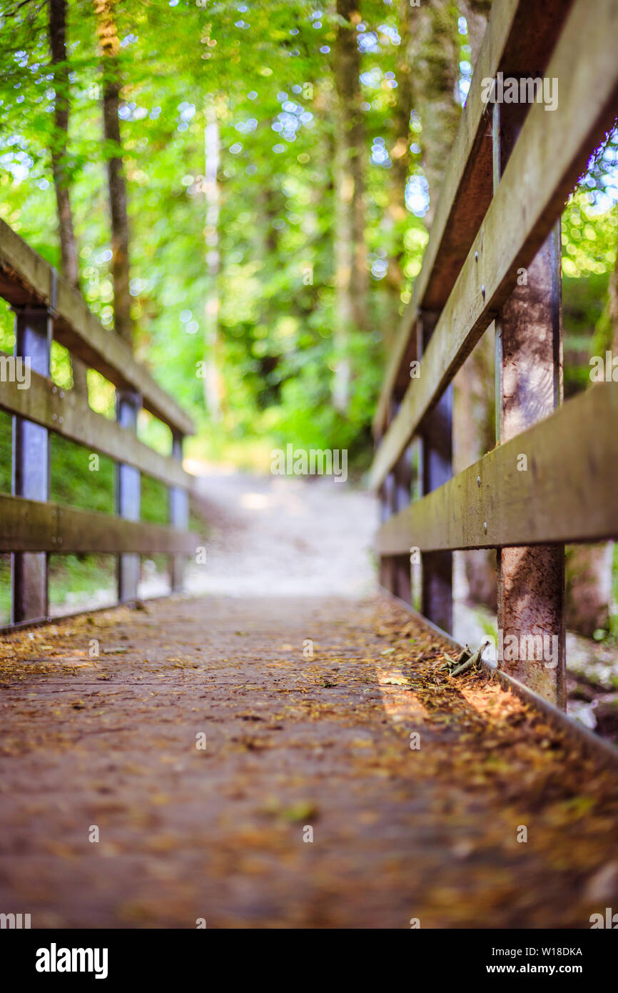 Wooden bridge in the forest, blurry background Stock Photo - Alamy