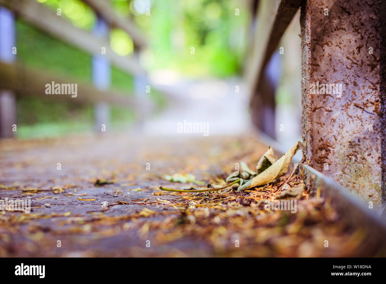 Wooden bridge in the forest, blurry background Stock Photo - Alamy