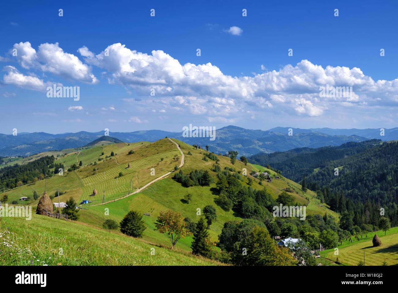Beautiful summer carpathian mountain country view ukraine hi-res stock photography and images ...