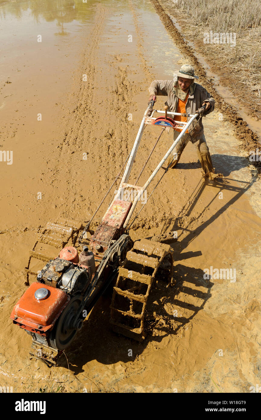 Hand Ploughing Paddy Field High Resolution Stock Photography and Images ...