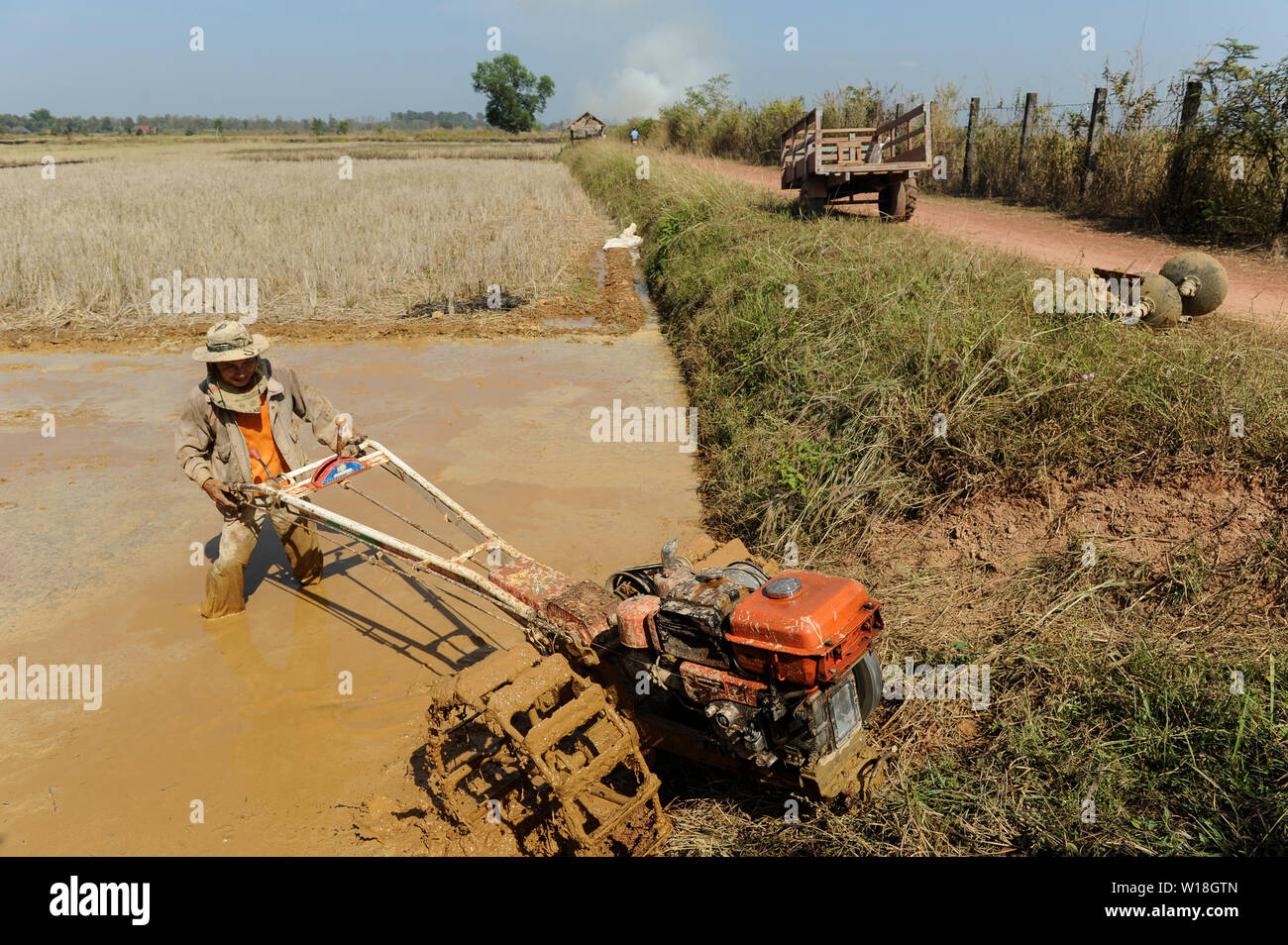 Laos rice seeds hi-res stock photography and images - Alamy