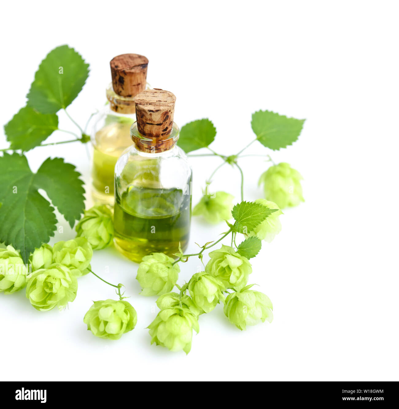 Hop extract hi-res stock photography and images - Alamy
